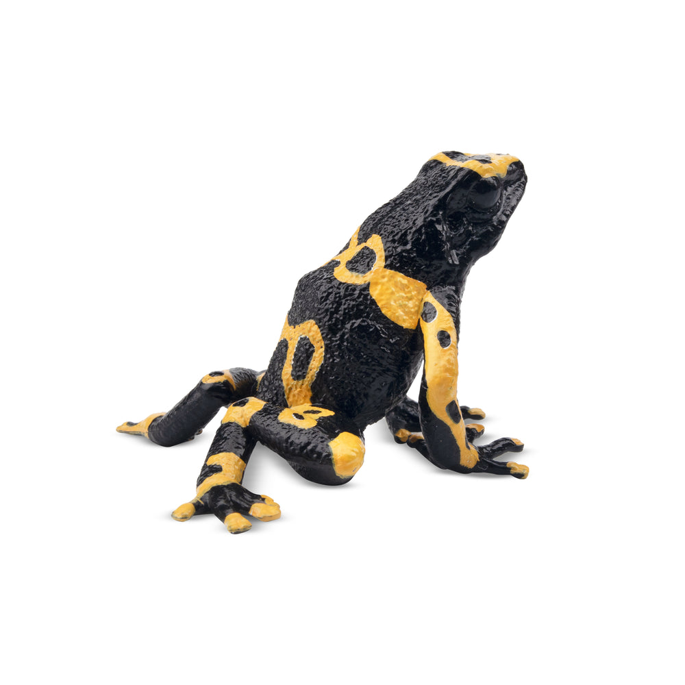 Toymany Yellow-banded Poison Dart Frog | Realistic Animal Figurine Toy