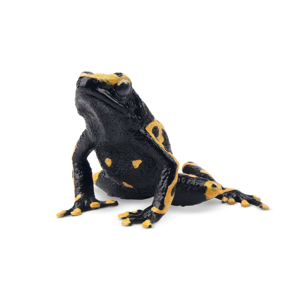 Toymany Yellow-banded Poison Dart Frog | Realistic Animal Figurine Toy