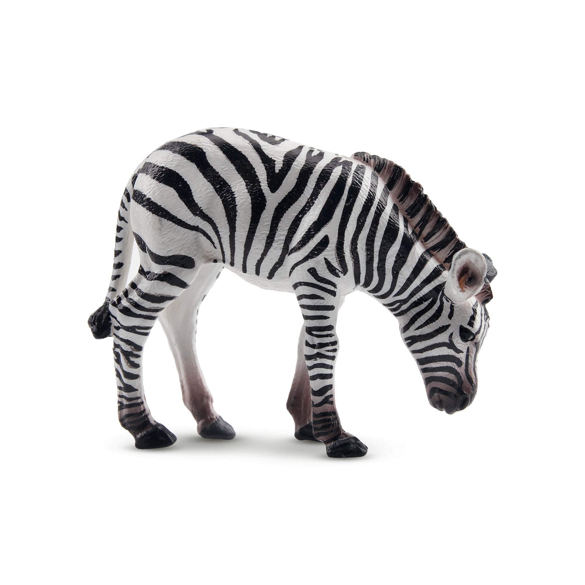 Toymany Zebra Foal | Realistic Animal Figurine Toy