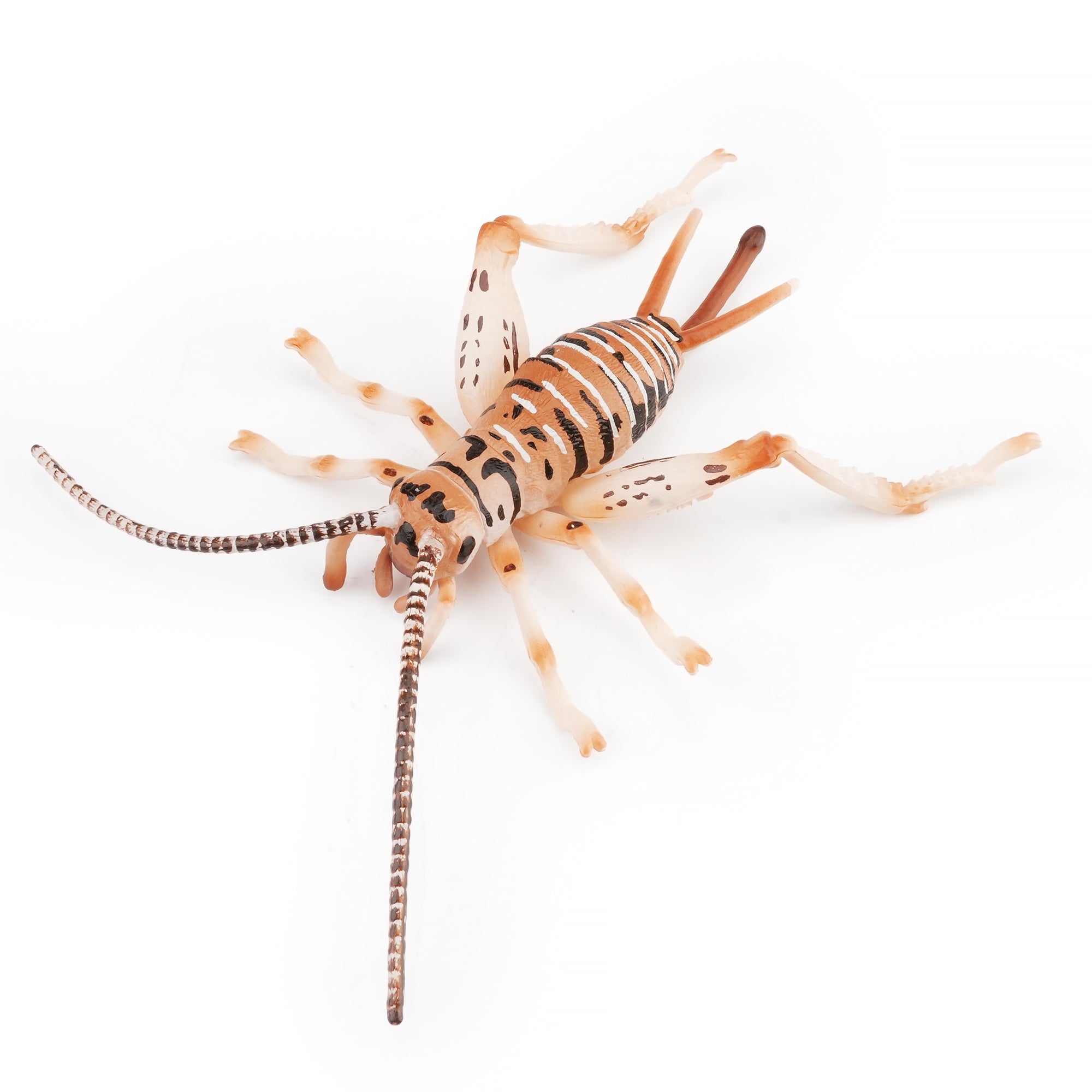 Toymany Cricket | Realistic Animal Figurine Toy
