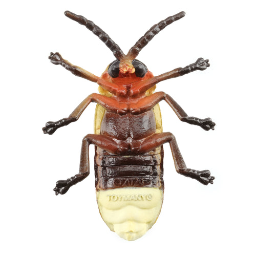 Toymany Firefly | Realistic Animal Figurine Toy