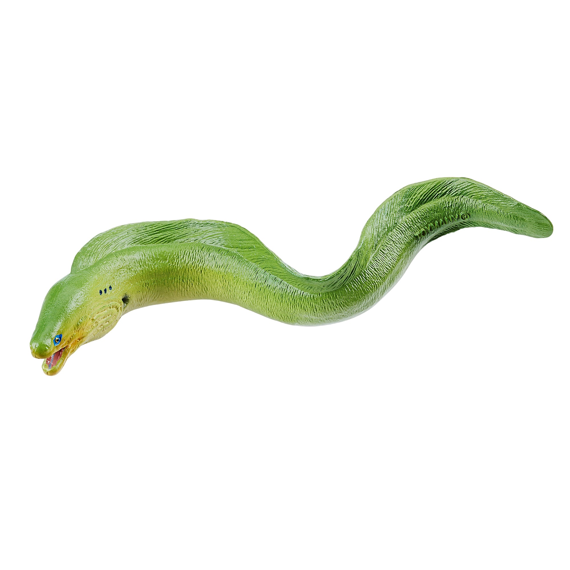 Toymany Green Moray Eel | Realistic Animal Figurine Toy