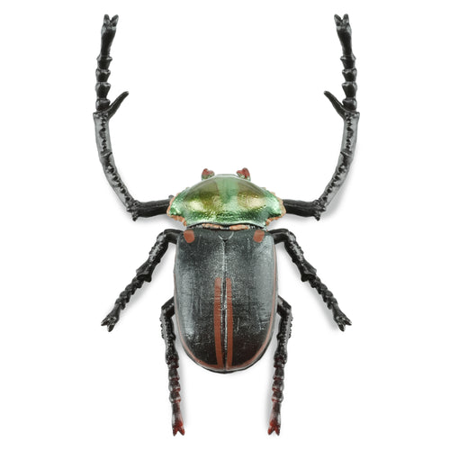 Toymany Janson’s Long-armed Scarab Beetle | Realistic Animal Figurine Toy
