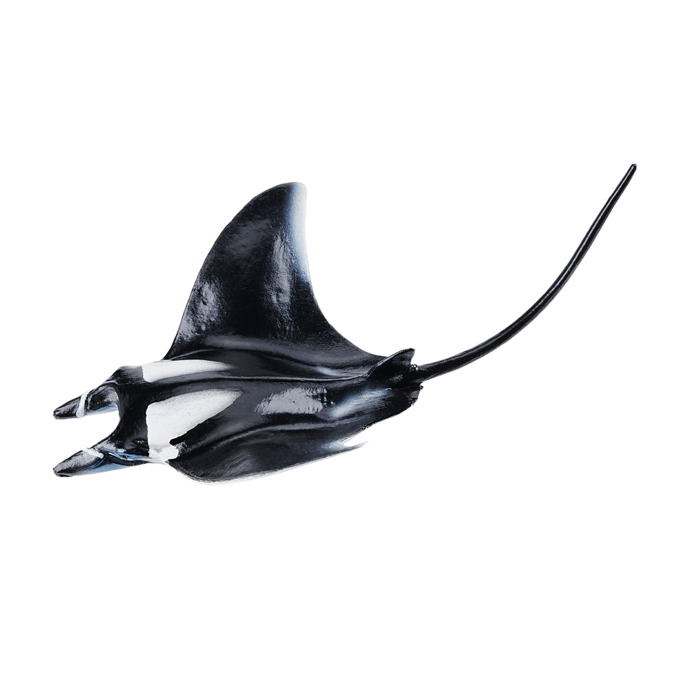 Toymany Manta Ray | Realistic Animal Figurine Toy