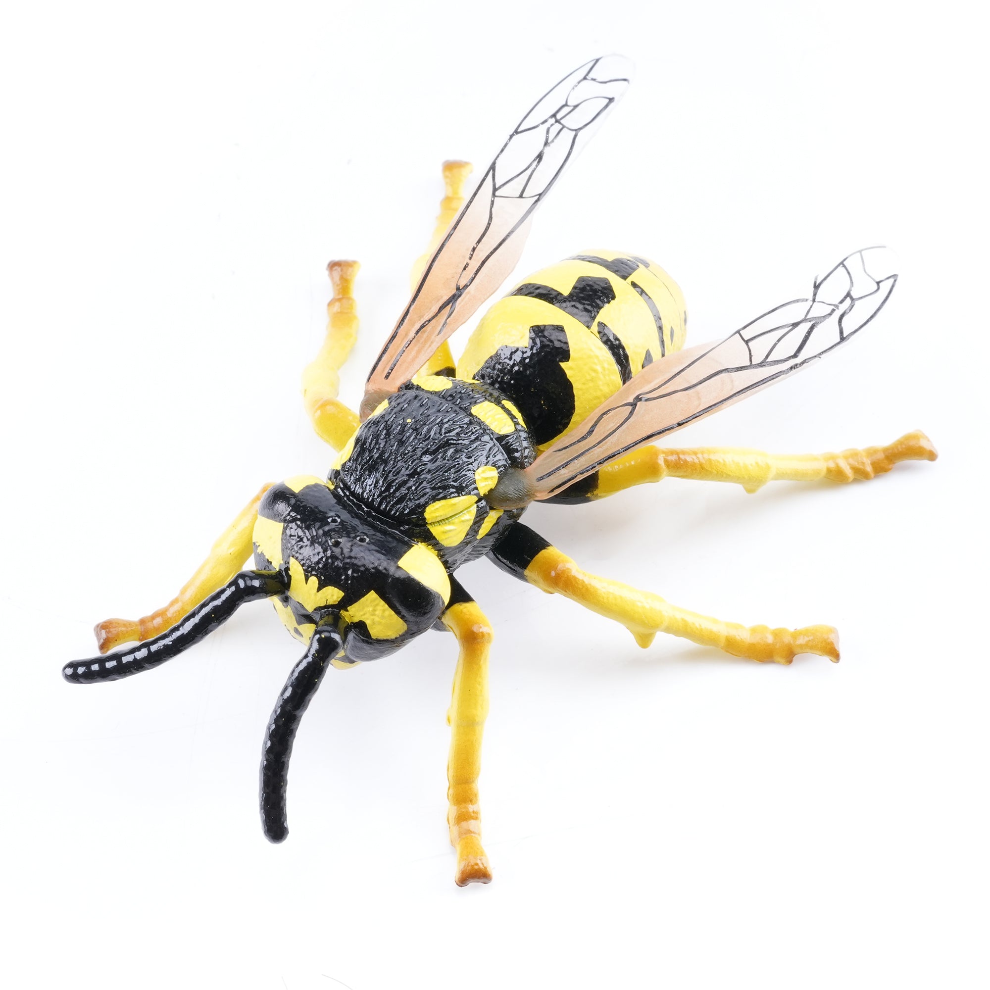 Toymany Wasp | Realistic Animal Figurine Toy
